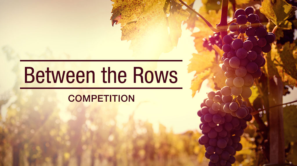 Between the Rows Photo Competition | Syngenta Australia