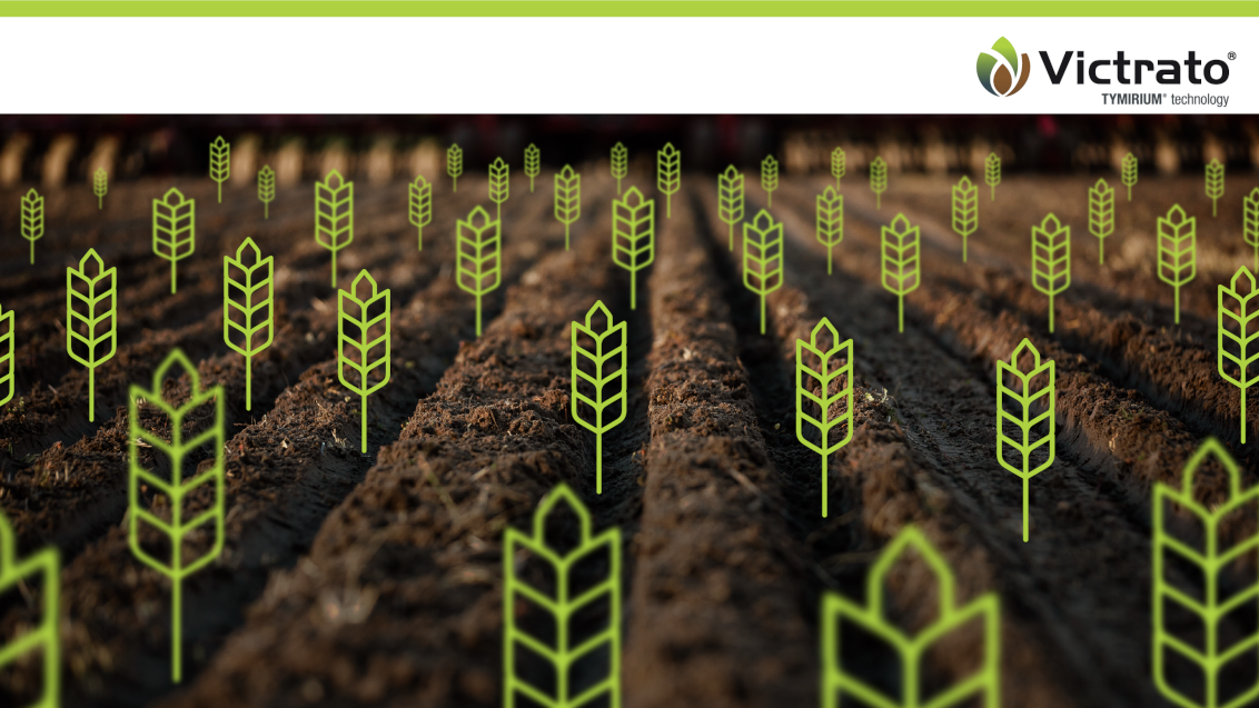 Syngenta Australia | Bringing plant potential to life