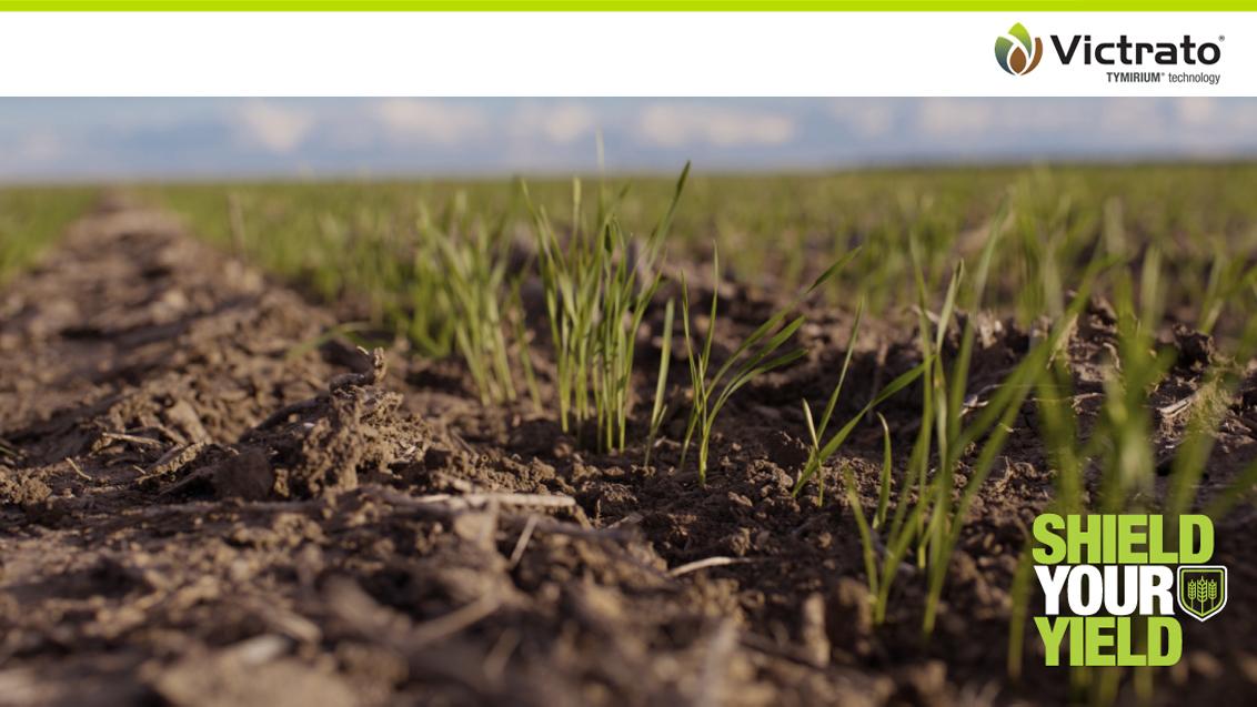 Syngenta Australia | Bringing plant potential to life