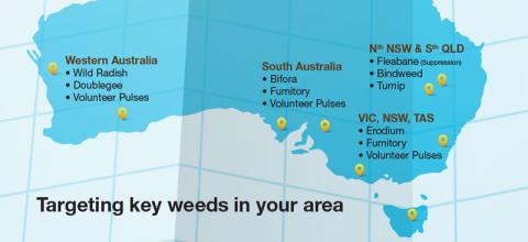 Barley & Wheat Herbicide | Broadleaf Herbicide