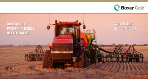Boxer Gold herbicide | Controlling grasses and broadleaf weeds