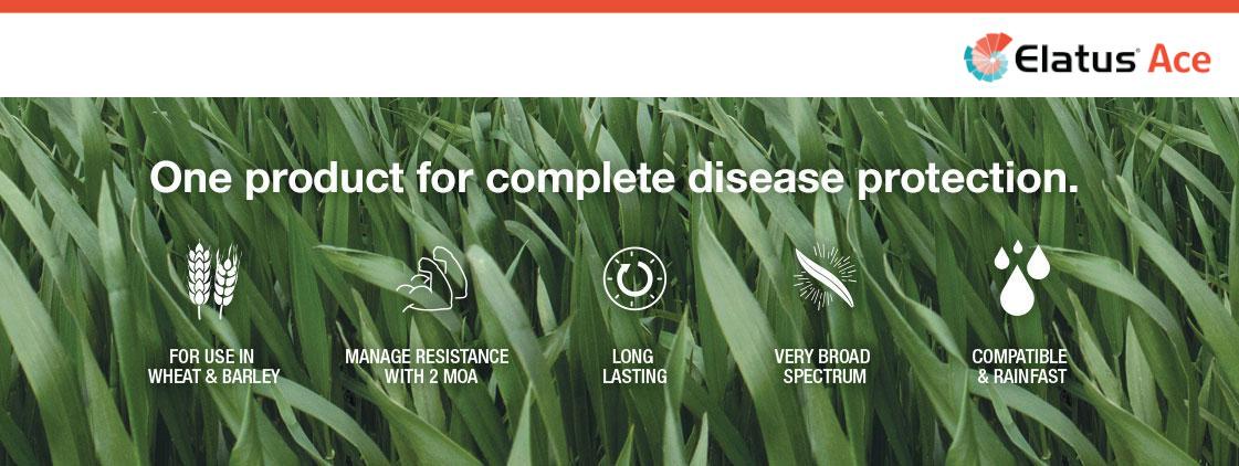 ELATUS® Ace | Fungicide