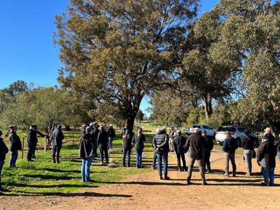 Field Trials Across Australia | Latest Innovations Demo