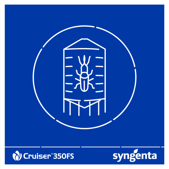 CRUISER® 350FS | Seed treatment