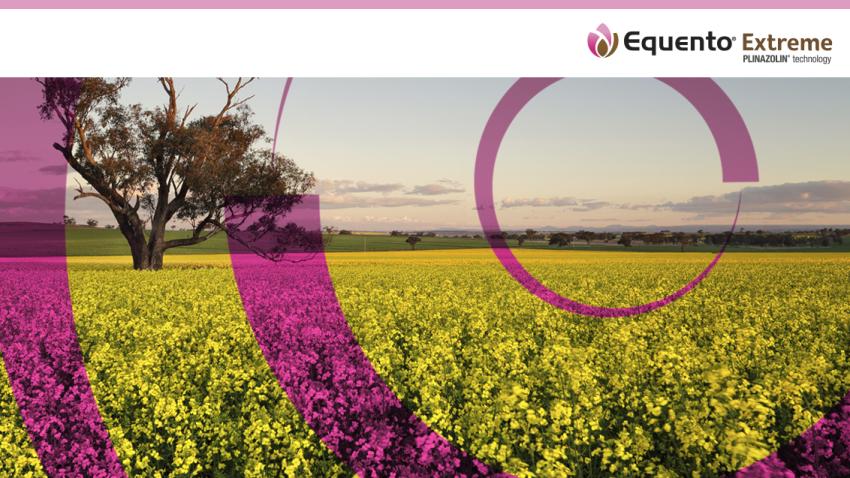 Syngenta Australia | Bringing plant potential to life