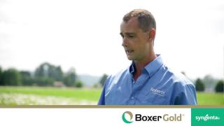 BOXER GOLD® | Herbicide