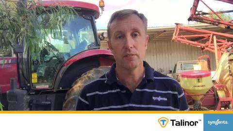 TALINOR® | Herbicide