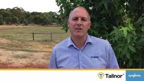 TALINOR® | Herbicide
