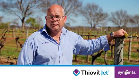 THIOVIT® Jet Fungicide | Syngenta Australia