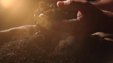 VANIVA® | Insecticide