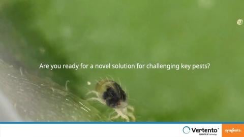 Tree Crop Pest Control: VERTENTO® Insecticide | Syngenta Australia