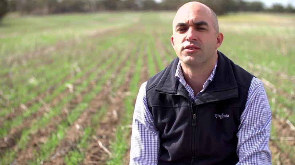 TALINOR® | Herbicide