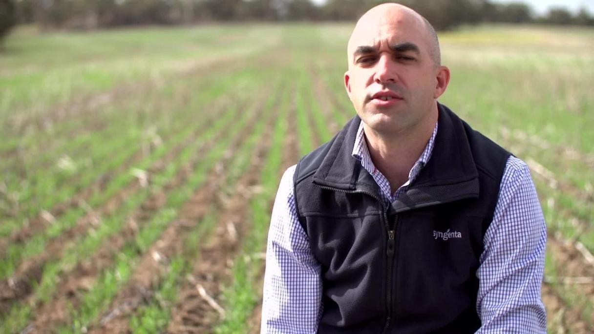 TALINOR® | Herbicide