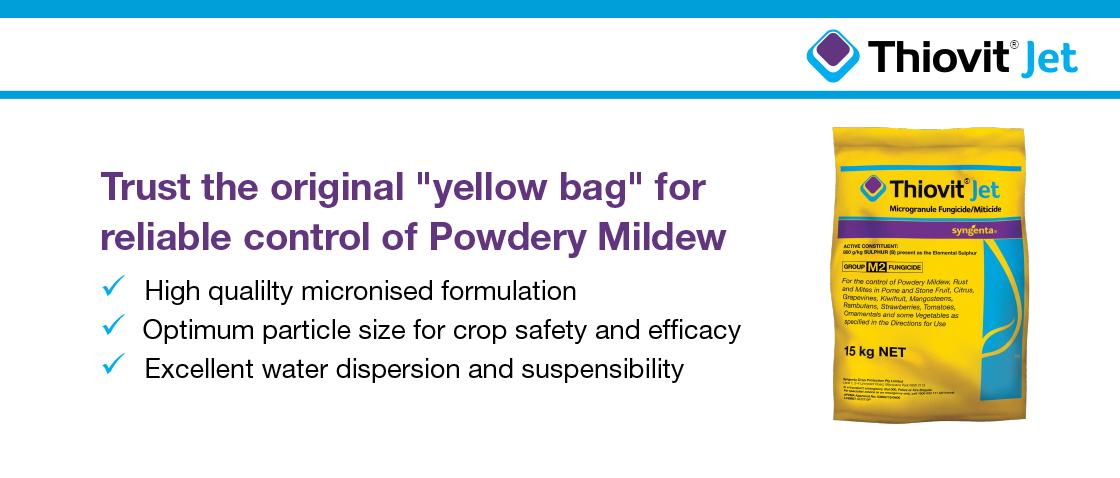 THIOVIT® Jet | Fungicide